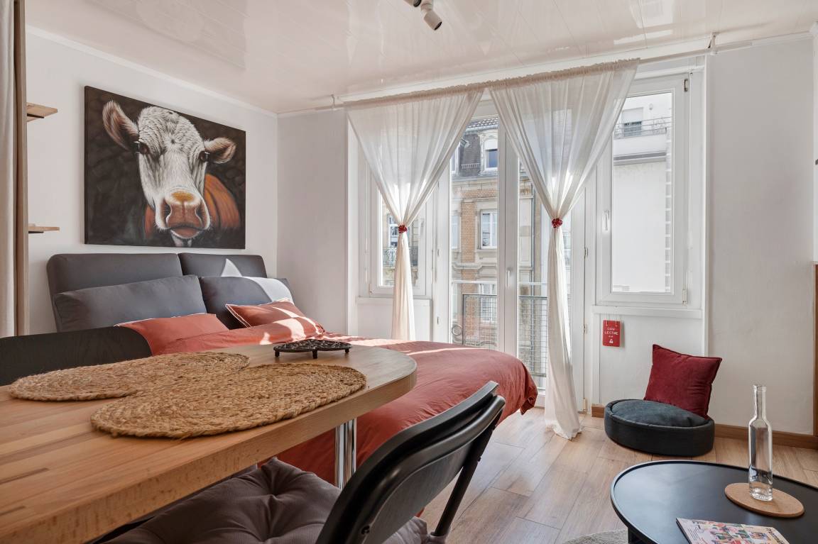 21 M² Appartement ∙ 1 Chambre ∙ 2 Personnes - Mulhouse