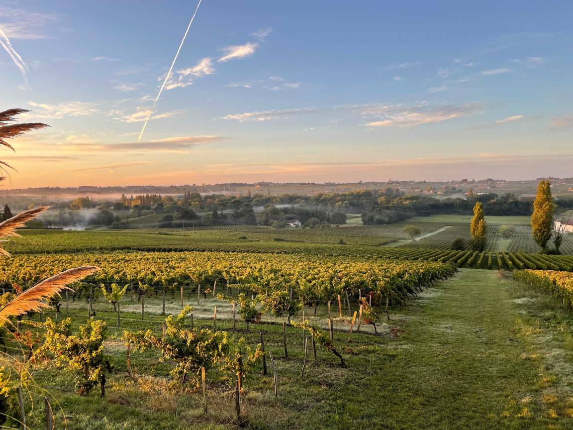 98 M² Maison De Vacances ∙ 2 Chambres ∙ 4 Personnes - Saint-Émilion