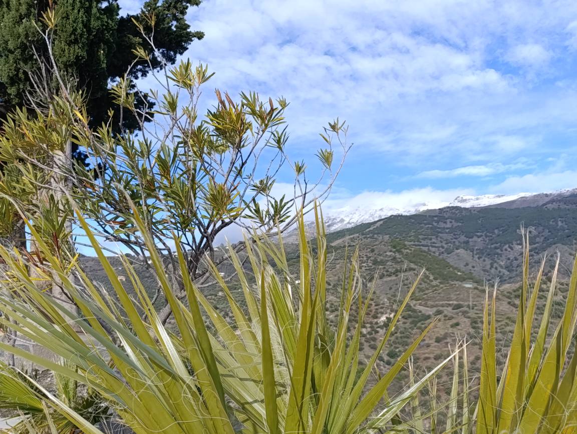 Casa ∙ 3 Habitaciones ∙ 6 Huéspedes - Vélez-Málaga