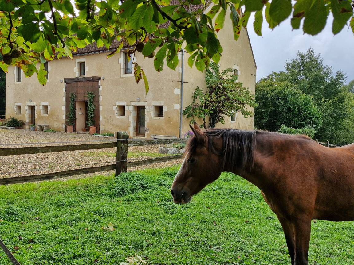 230 M² Cottage ∙ 7 Slaapkamers ∙ 14 Gasten - Cosne-Cours-sur-Loire