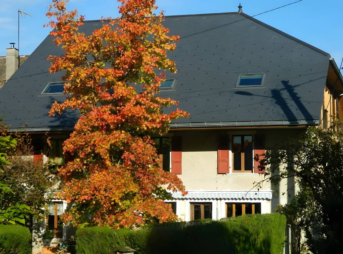 35 M² Studio Flat ∙ 2 Guests - Doussard