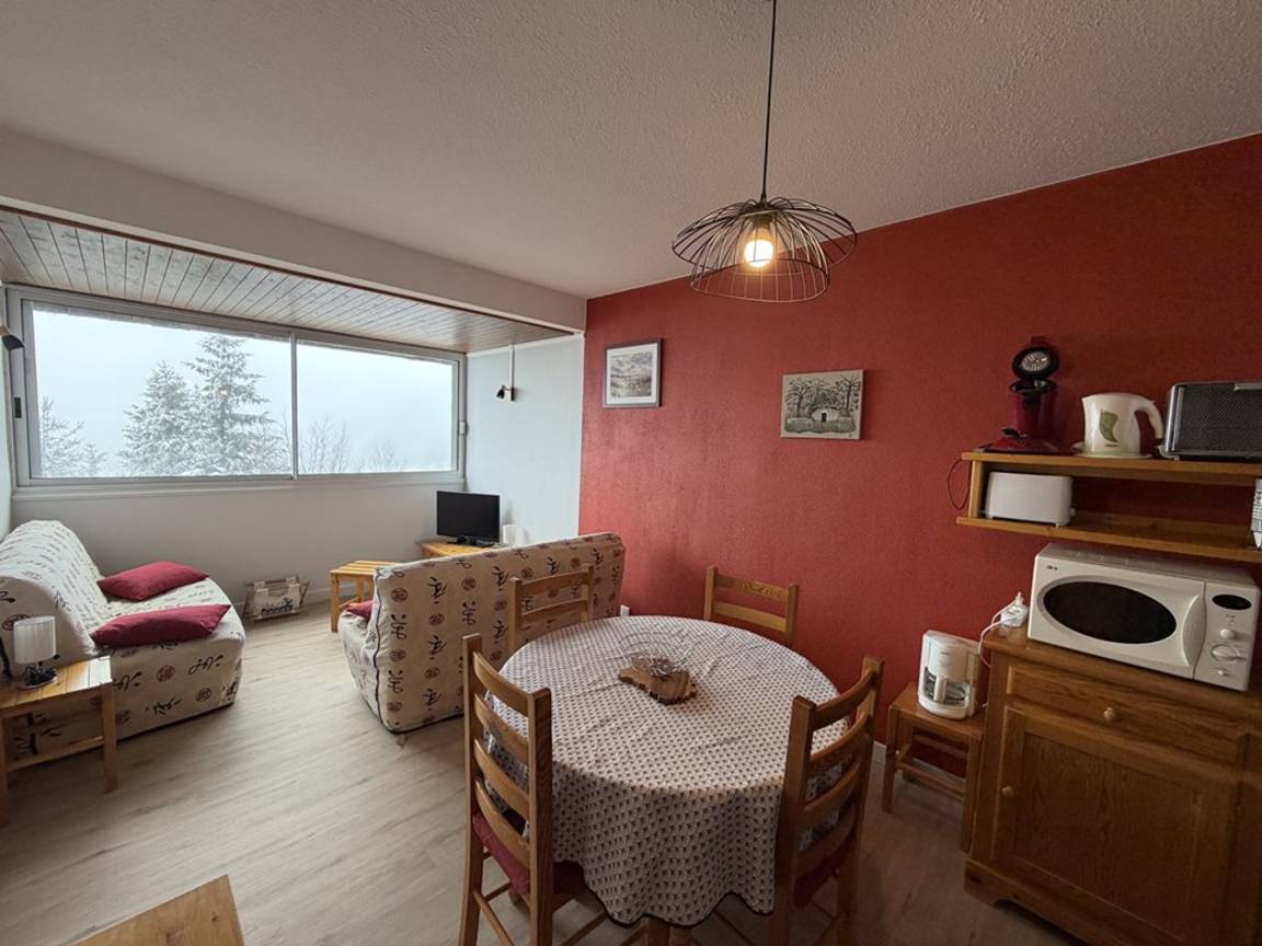 55 M² Appartement ∙ 1 Chambre ∙ 6 Personnes - Le Lioran (Super Lioran)