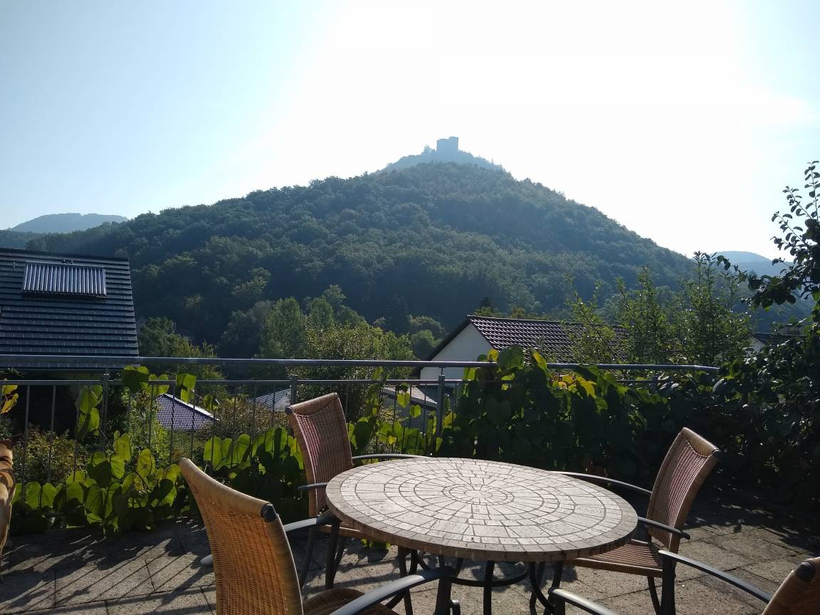 90 M² Ferienwohnung ∙ 1 Schlafzimmer ∙ 6 Gäste - Rhodt unter Rietburg