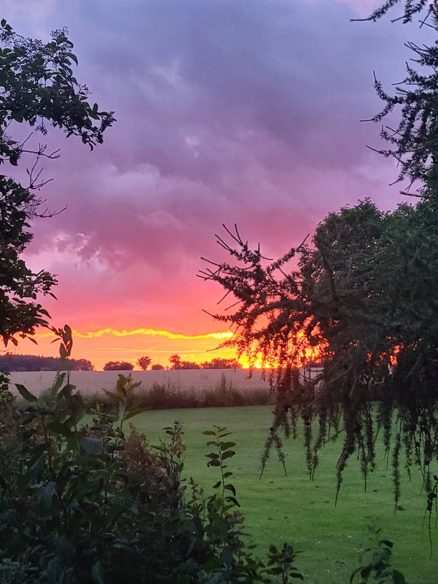 Ferienhaus ∙ 1 Schlafzimmer ∙ 2 Gäste - Lutherstadt Wittenberg