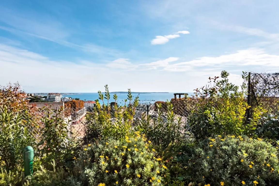30 M² Appartement ∙ 1 Chambre ∙ 4 Personnes - Plage du Midi