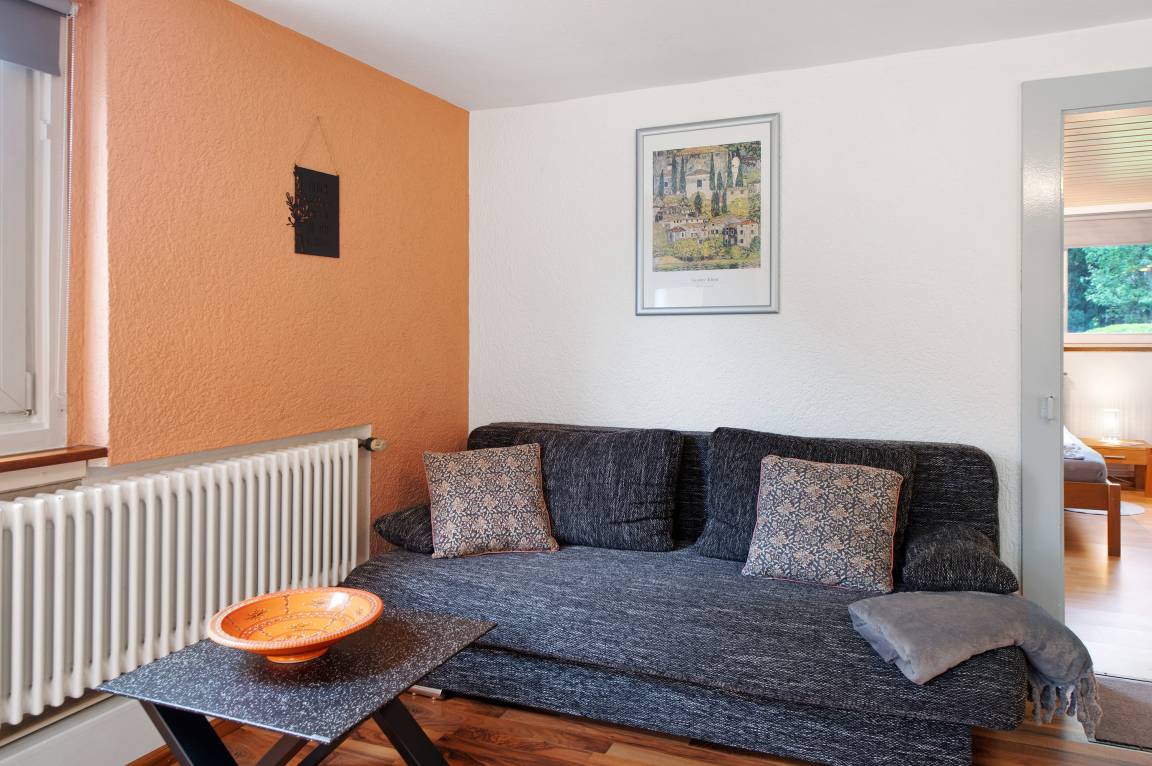 50 M² Apartamento ∙ 1 Quarto ∙ 4 Hóspedes - Staufen