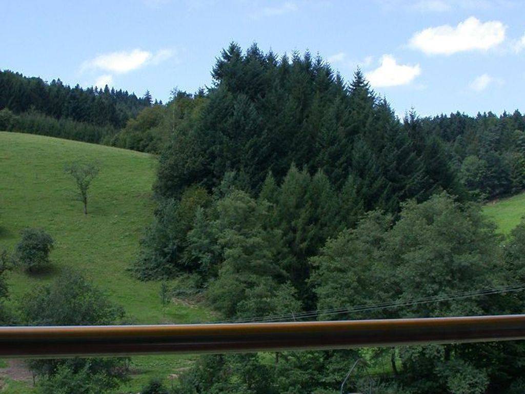 90 M² Apartamento ∙ 2 Habitaciones ∙ 4 Huéspedes - Waldkirch