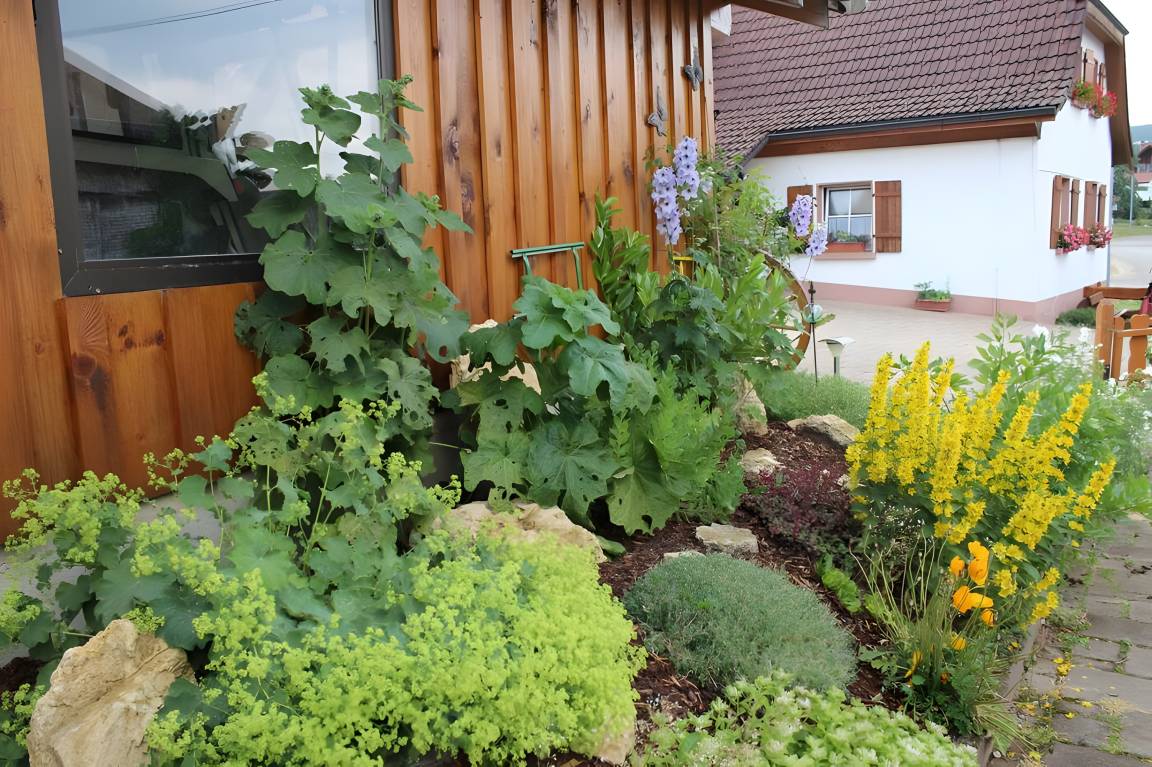 70 M² Ferienwohnung ∙ 3 Schlafzimmer ∙ 5 Gäste - Schluchsee