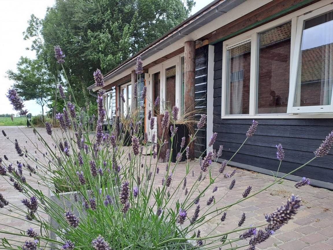 Huis ∙ 2 Slaapkamers ∙ 6 Gasten - Dishoek