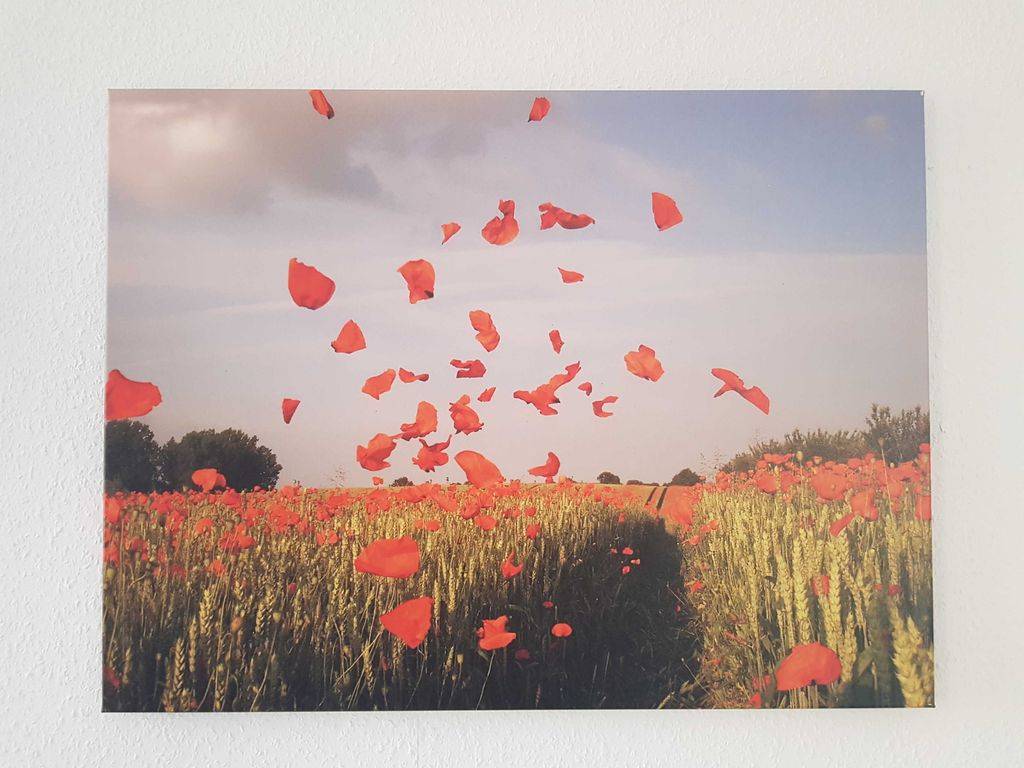 42 M² Apartment ∙ 1 Bedroom ∙ 3 Guests - Wittenberg