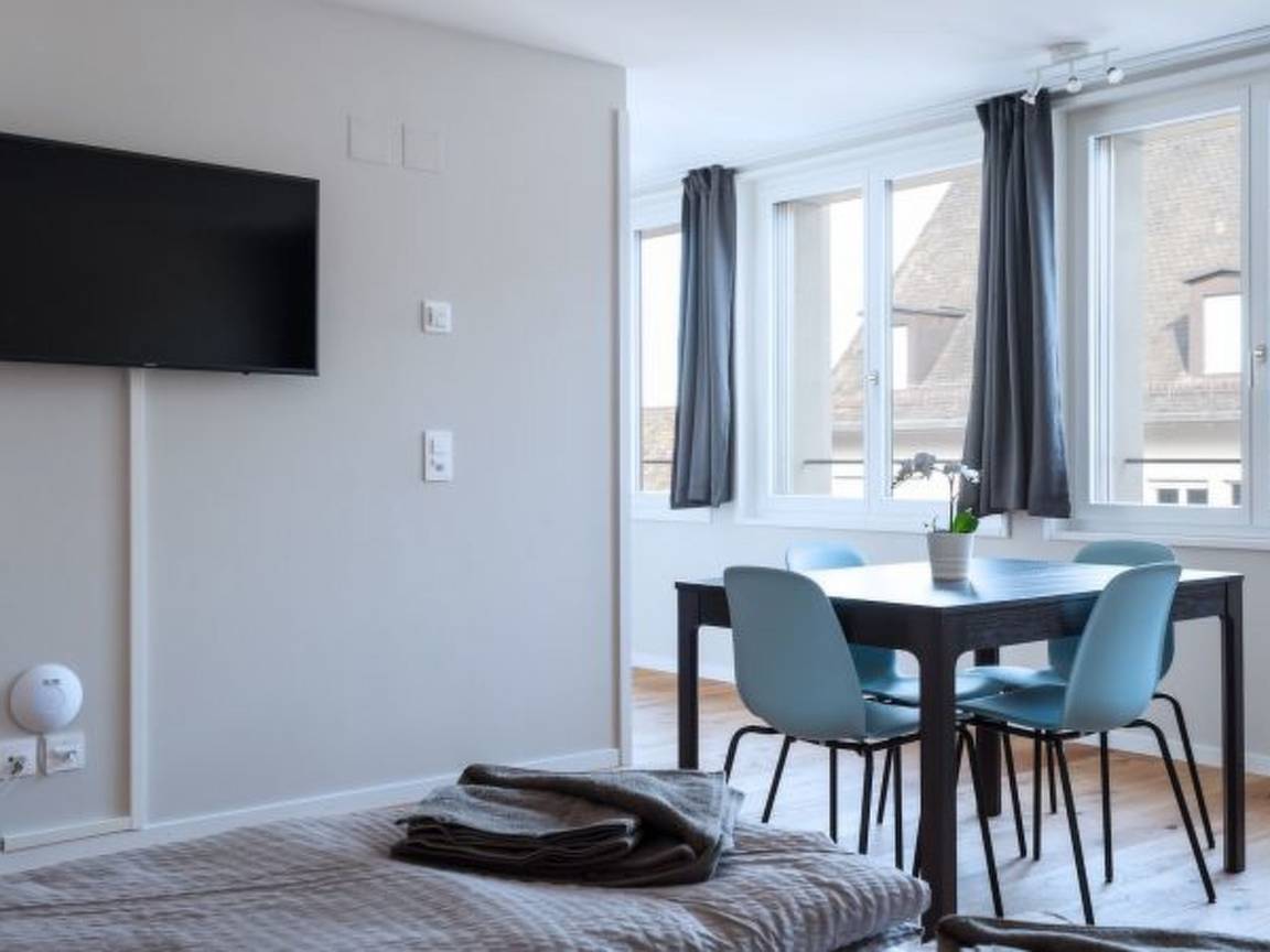 45 M² Apartamento ∙ 1 Habitación ∙ 4 Huéspedes - Basilea