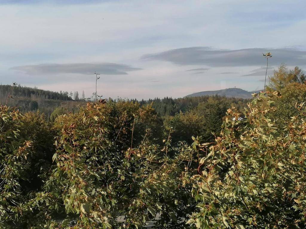55 M² Apartment ∙ 1 Bedroom ∙ 3 Guests - Braunlage