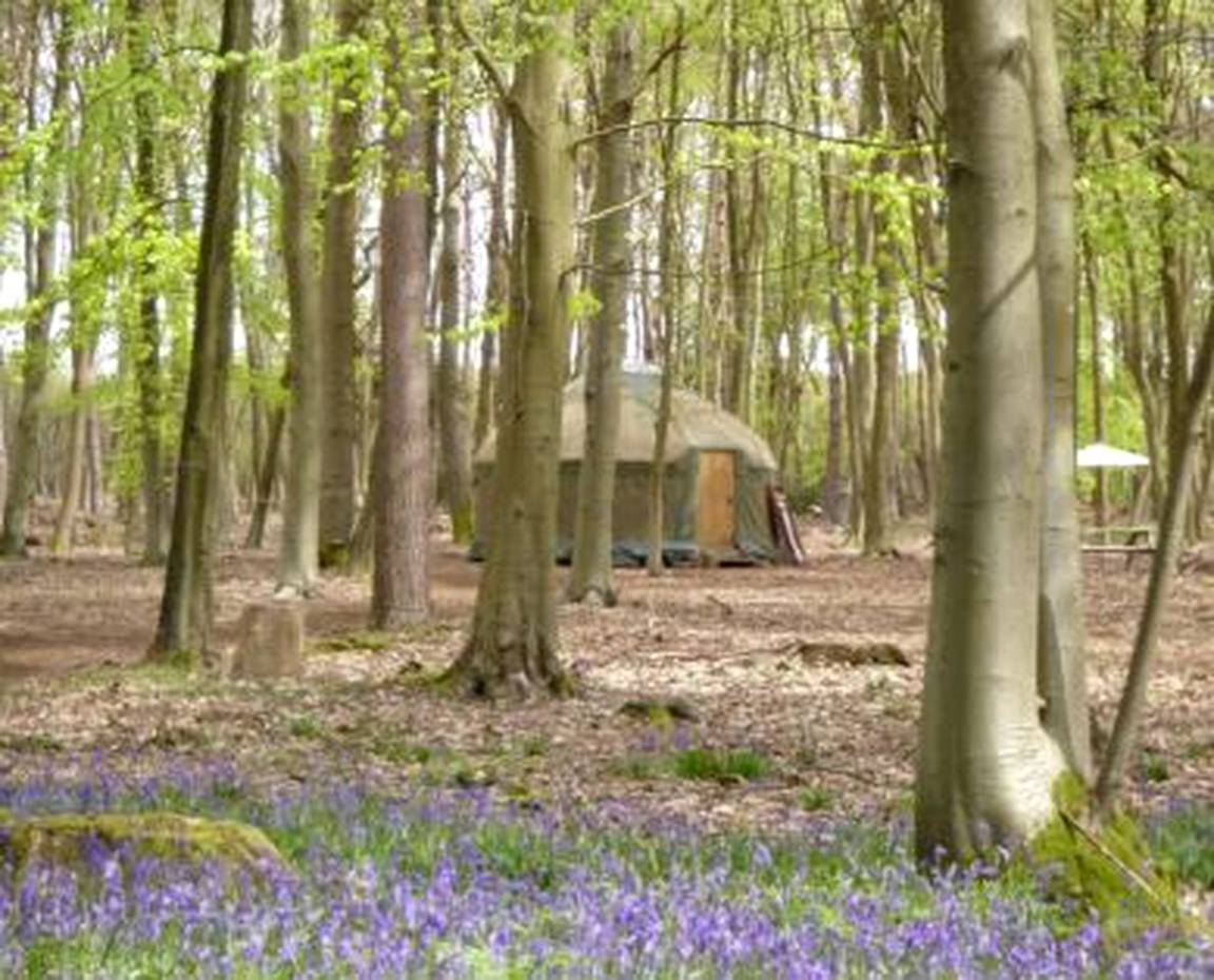 Camping ∙ 1 Bedroom ∙ 4 Guests - West Sussex