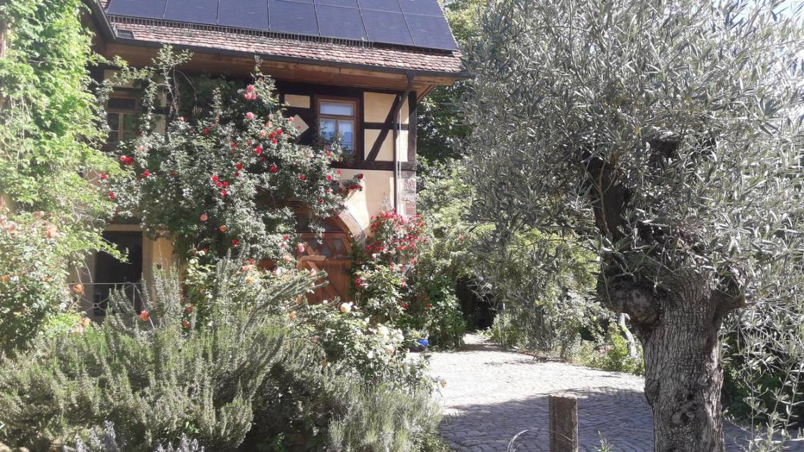 40 M² Appartement ∙ 1 Slaapkamer ∙ 4 Gasten - Hessen