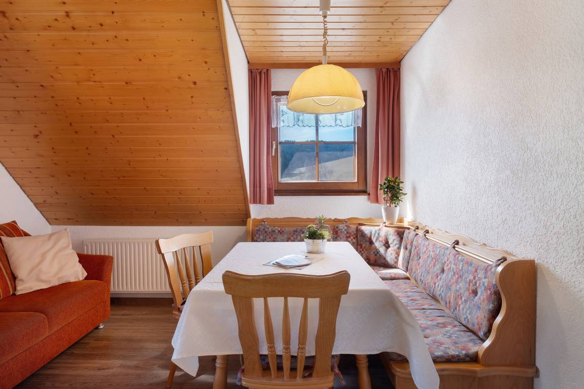 48 M² Apartment ∙ 2 Bedrooms ∙ 5 Guests - Titisee-Neustadt