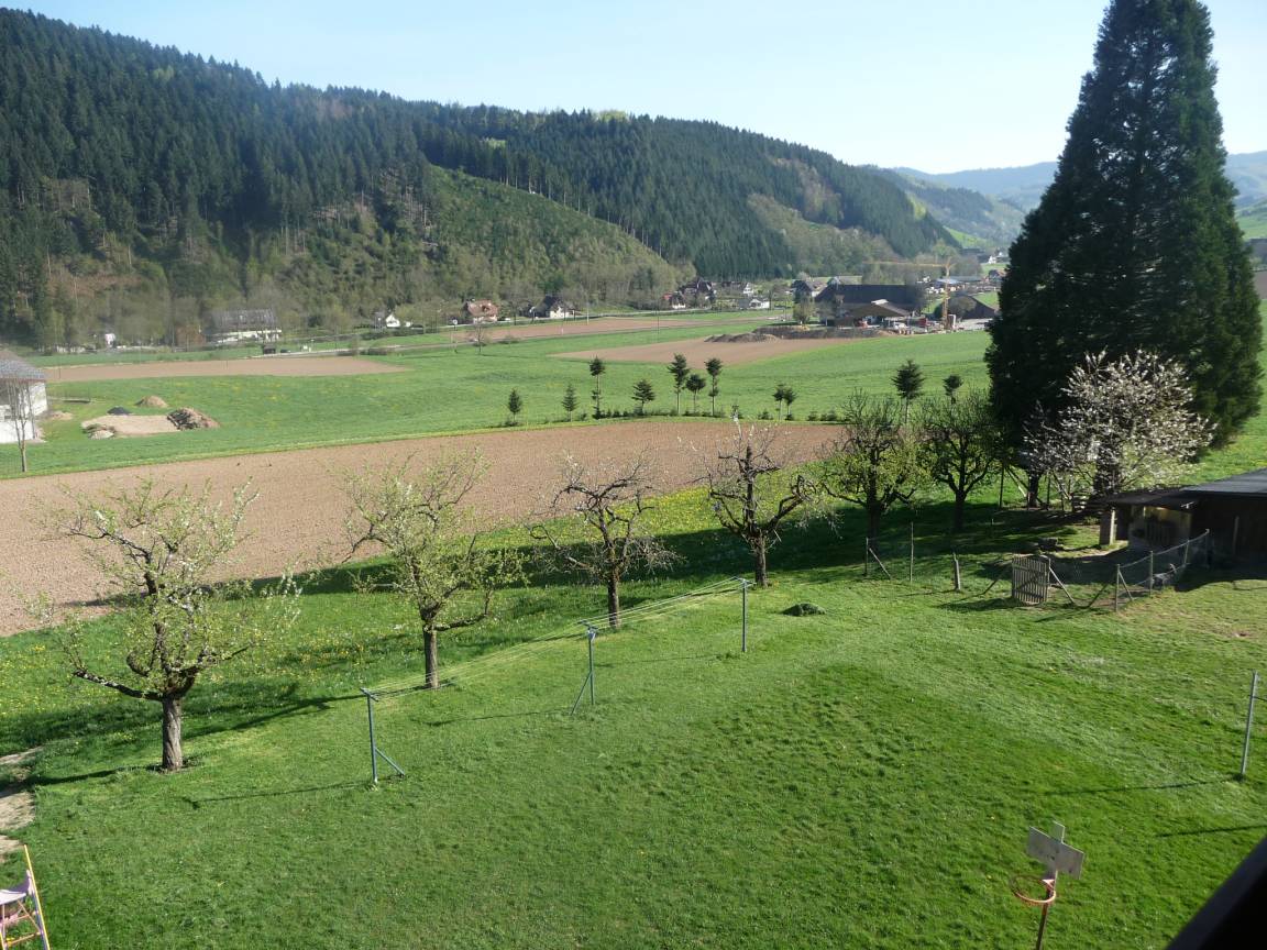 60 M² Ferienwohnung ∙ 2 Schlafzimmer ∙ 4 Gäste - Zell am Harmersbach