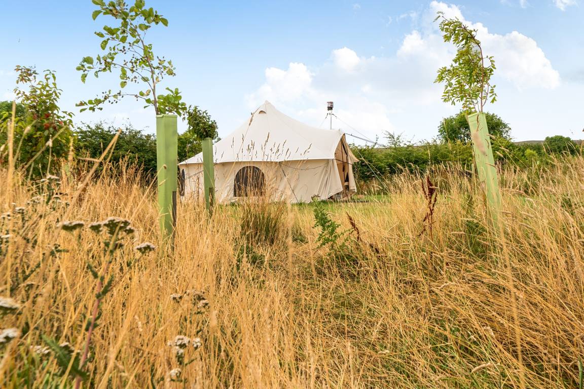 20 M² Cabin ∙ 1 Bedroom ∙ 4 Guests - North Yorkshire