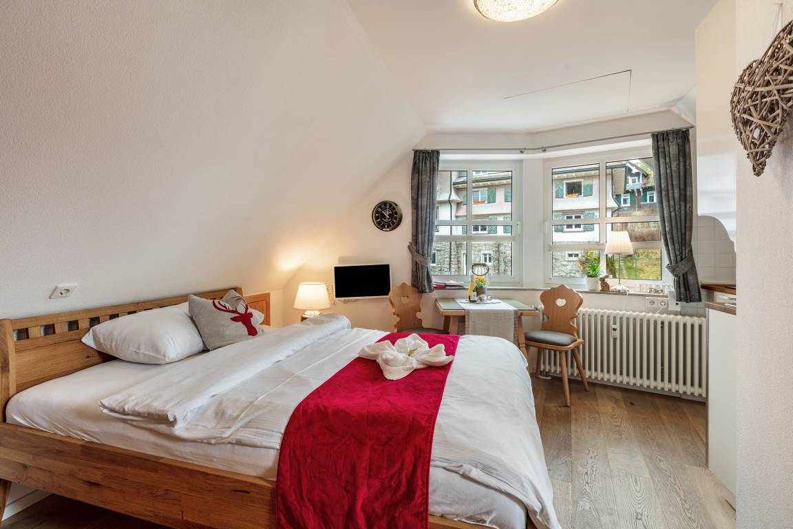 20 M² Appartement ∙ 1 Chambre ∙ 1 Personne - Schluchsee