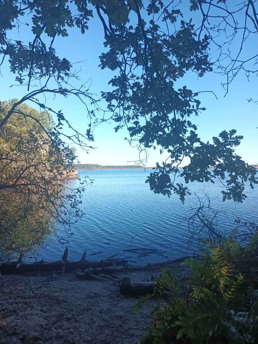 40 M² Maison De Vacances ∙ 2 Chambres ∙ 4 Personnes - Le Porge