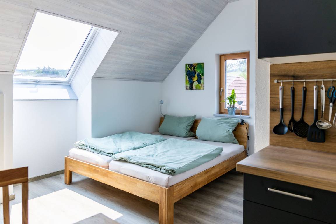Ferienwohnung ∙ 1 Schlafzimmer ∙ 2 Gäste - Geiselwind
