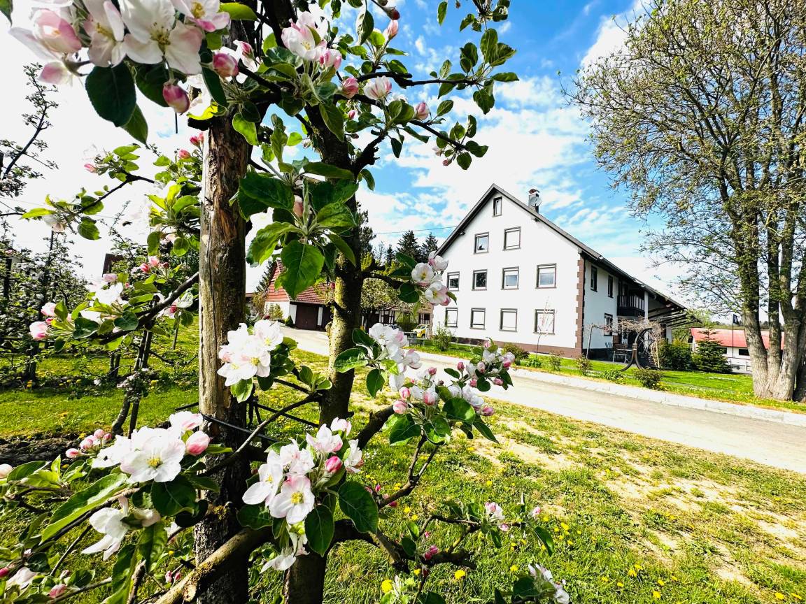 100 M² Apartamento ∙ 3 Habitaciones ∙ 6 Huéspedes - Ravensburg