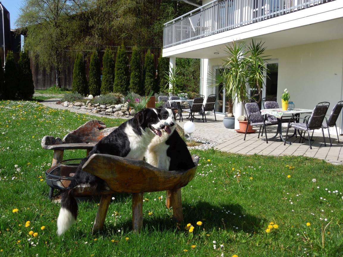 70 M² Ferienwohnung ∙ 2 Schlafzimmer ∙ 4 Gäste - Bad Waldsee