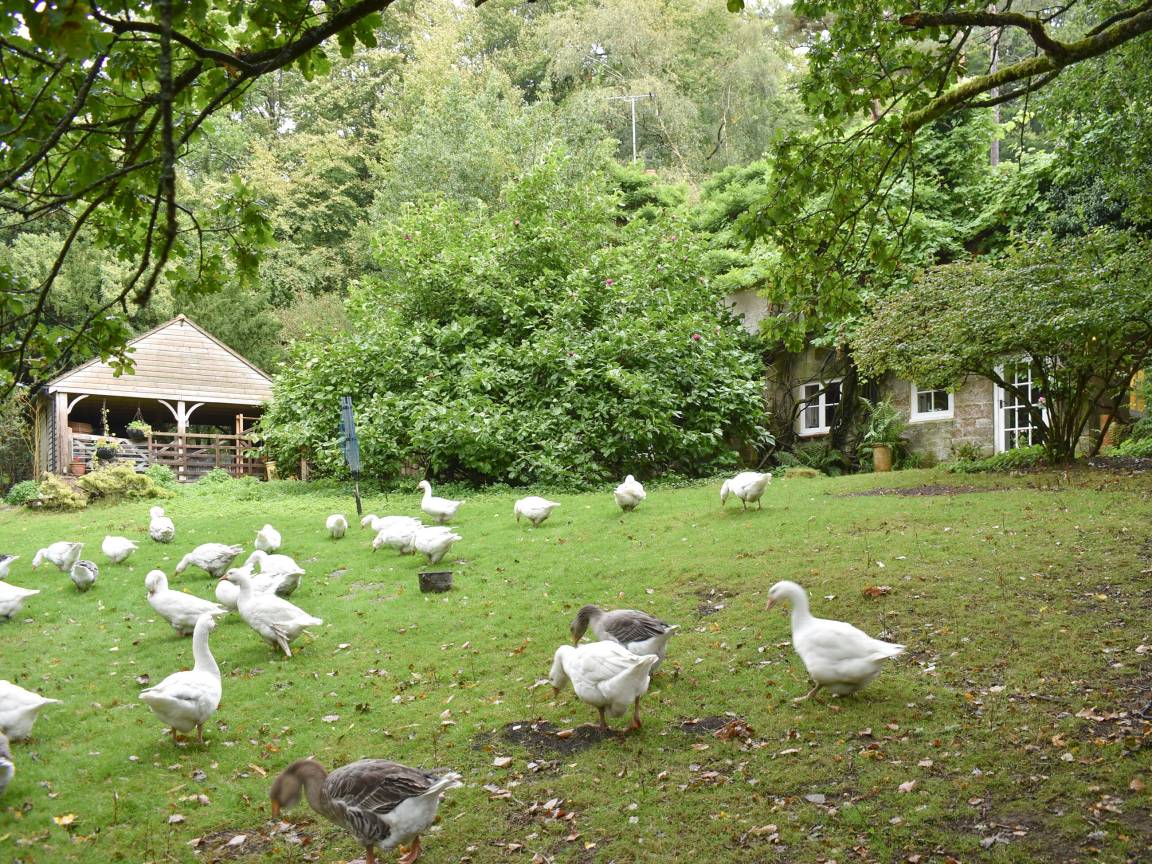 Cottage ∙ 2 Bedrooms ∙ 4 Guests - West Sussex