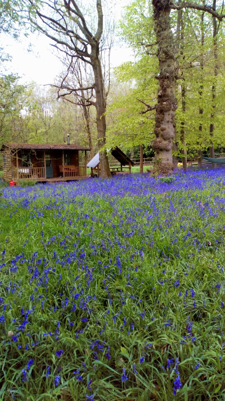 Cabin ∙ 1 Bedroom ∙ 2 Guests - Worcestershire