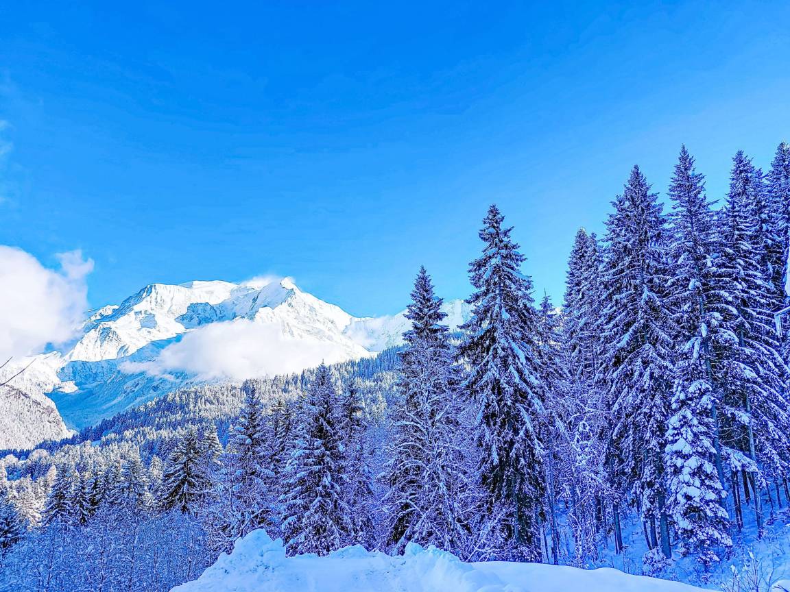 32 M² Ferienhaus ∙ 1 Schlafzimmer ∙ 6 Gäste - Les Houches