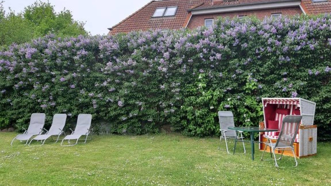 45 M² Ferienwohnung ∙ 1 Schlafzimmer ∙ 4 Gäste - Insel Poel