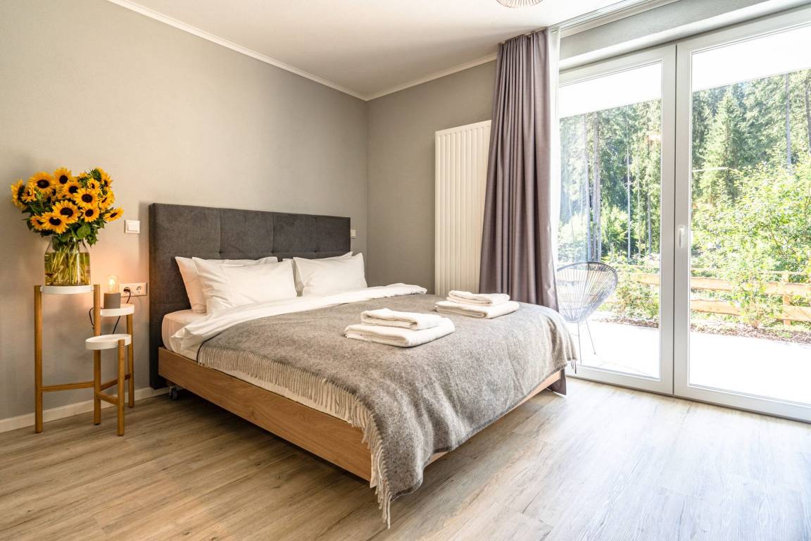 25 M² Studio Flat ∙ 1 Bedroom ∙ 2 Guests - Titisee-Neustadt