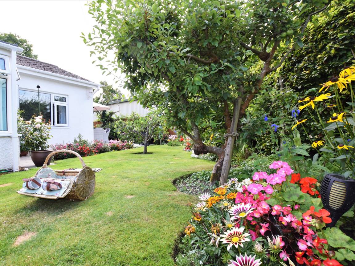 Cottage ∙ 2 Bedrooms ∙ 4 Guests - Honiton