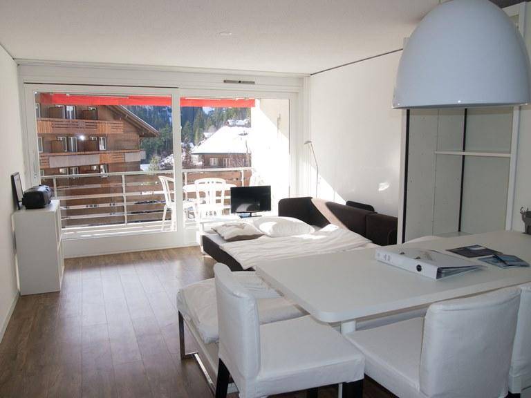 29 M² Apartment ∙ 1 Bedroom ∙ 2 Guests - Adelboden
