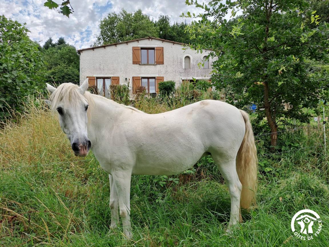 84 M² Gîte ∙ 2 Schlafzimmer ∙ 4 Gäste - Castres