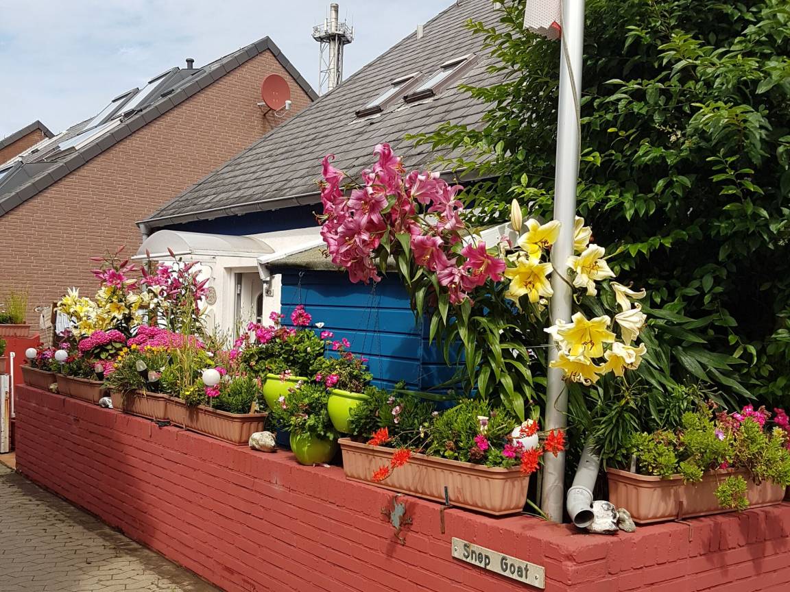 21 M² Ferienwohnung ∙ 1 Schlafzimmer ∙ 2 Gäste - Helgoland