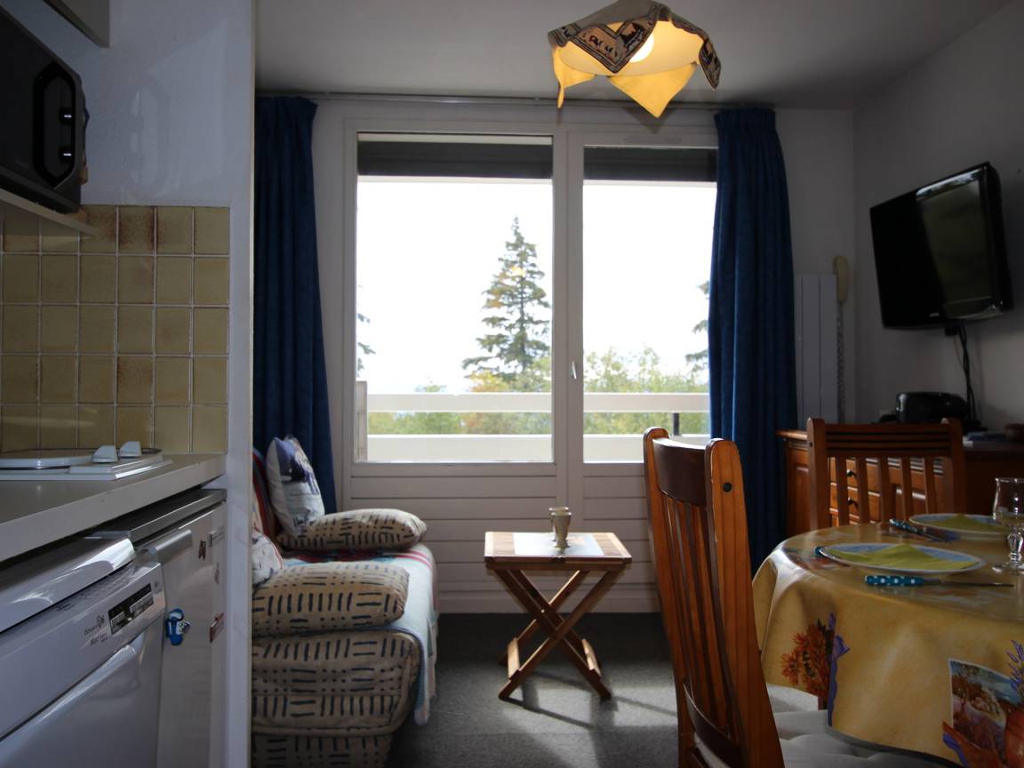 23 M² Studio Flat ∙ 1 Bedroom ∙ 4 Guests - Chamrousse