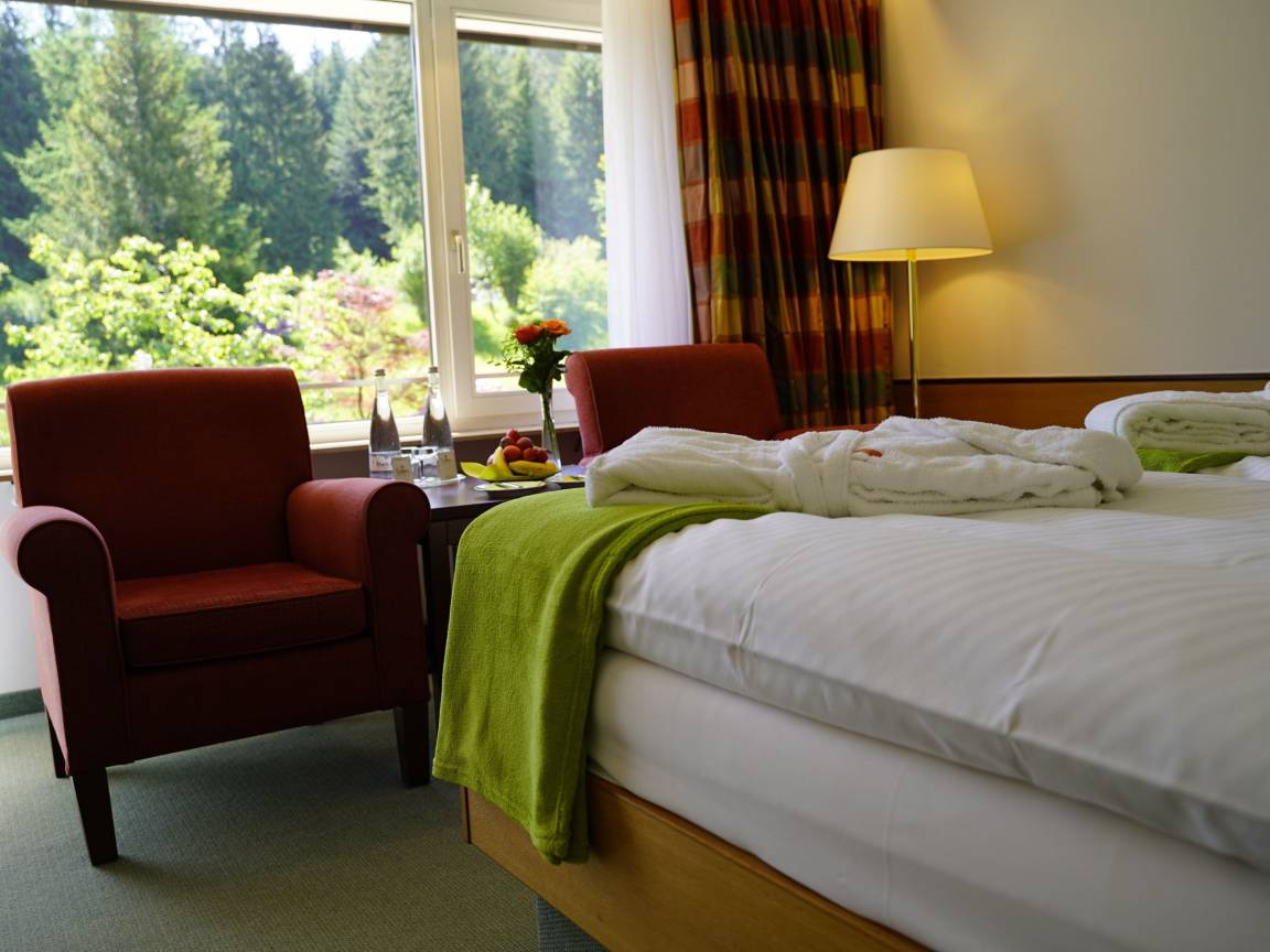 Privatzimmer ∙ 3 Gäste - Baiersbronn