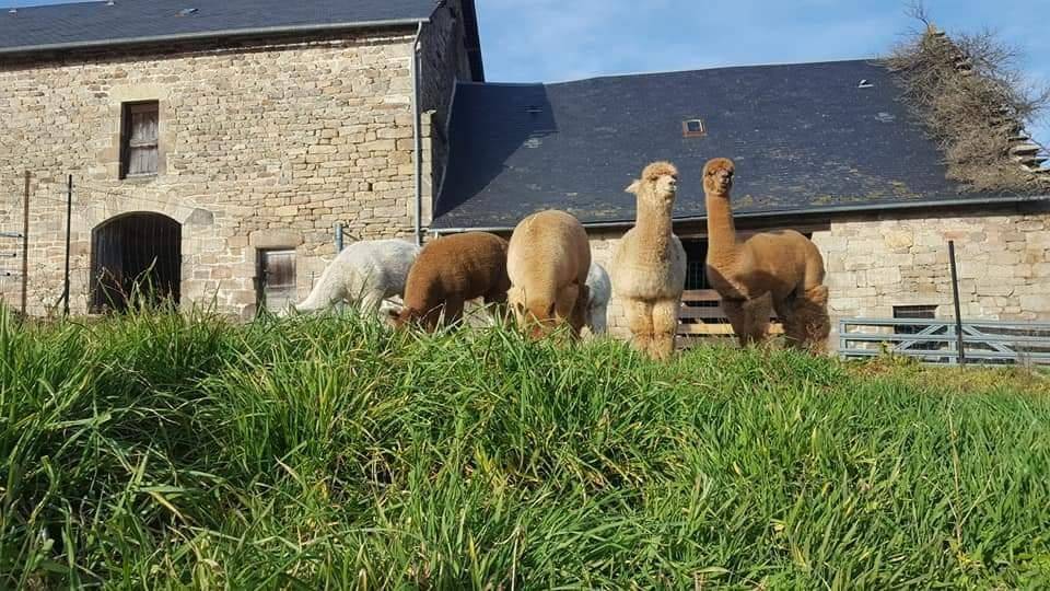 160 M² Gîte ∙ 5 Chambres ∙ 6 Personnes - Corrèze