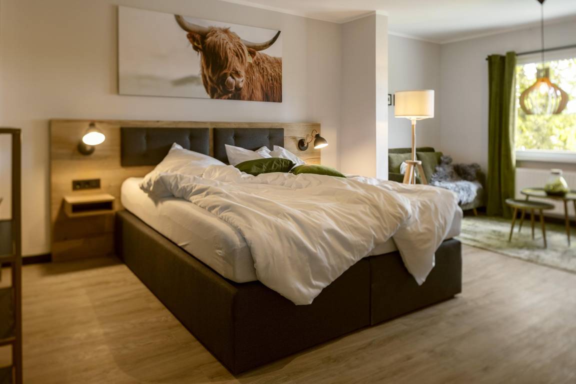 Hotel ∙ 2 Bedrooms ∙ 2 Guests - Schierke