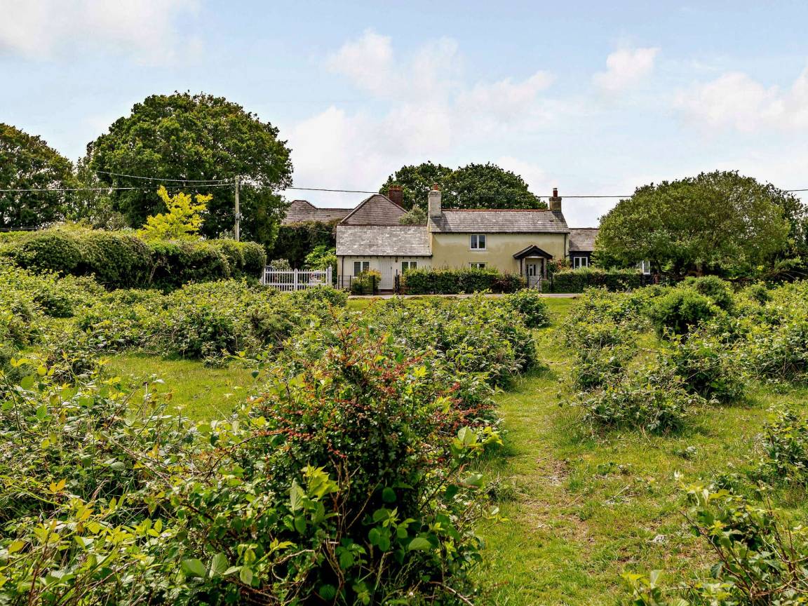 Cottage ∙ 1 Bedroom ∙ 2 Guests - Barton on Sea