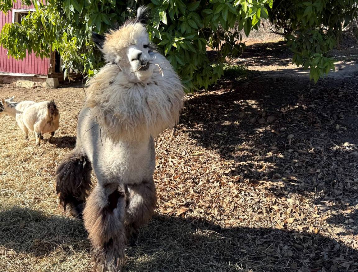 House ∙ 1 Bedroom ∙ 4 Guests - Temecula, CA