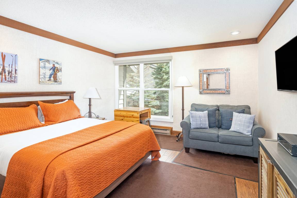 25 M² Hotel ∙ 1 Habitación ∙ 3 Huéspedes - Telluride, CO