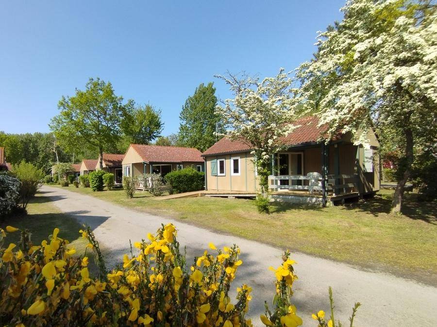 Chalet ∙ 1 Chambre ∙ 2 Personnes - Pas-de-Calais