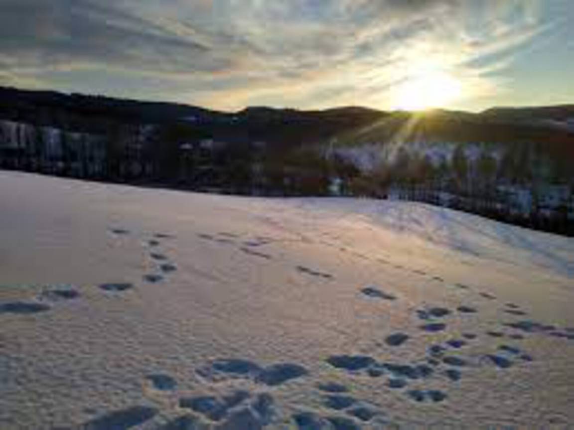 186 M² House ∙ 3 Bedrooms ∙ 6 Guests - Woodstock, VT
