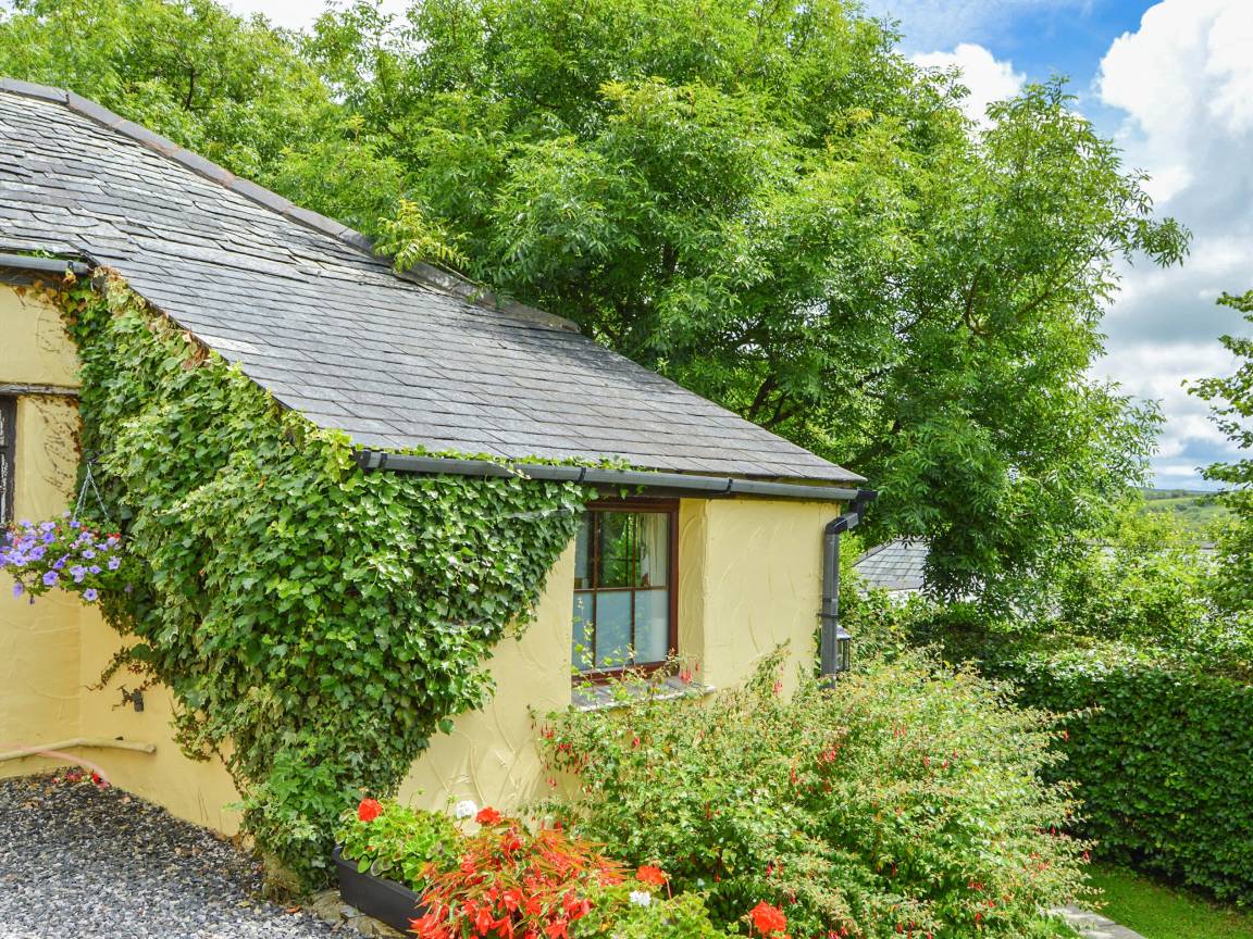 Cottage ∙ 1 Bedroom ∙ 2 Guests - Clovelly