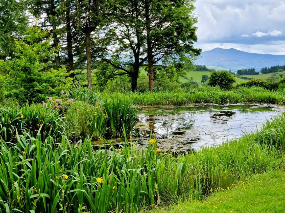 Cottage ∙ 2 Bedrooms ∙ 4 Guests - Brecon