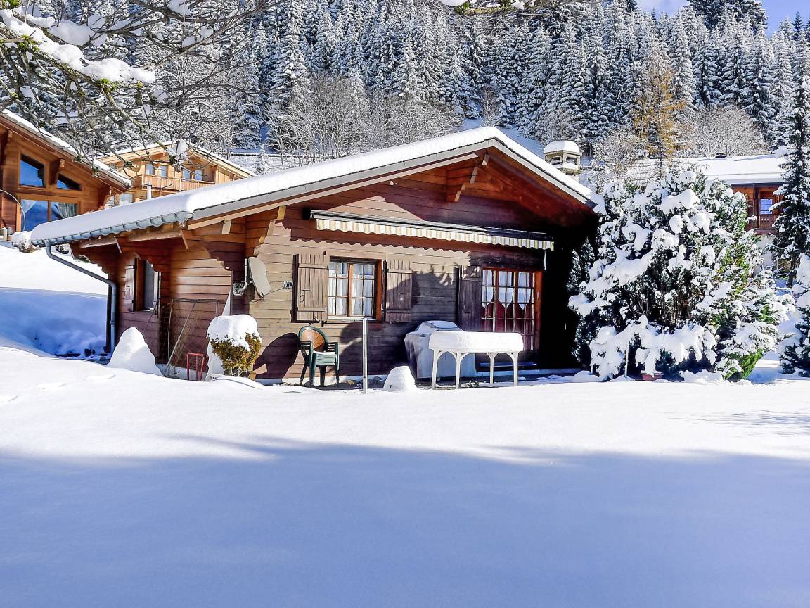 60 M² Huis ∙ 2 Slaapkamers ∙ 5 Gasten - Aigle