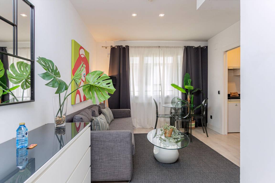 40 M² Appartement ∙ 1 Chambre ∙ 2 Personnes - Alcorcón