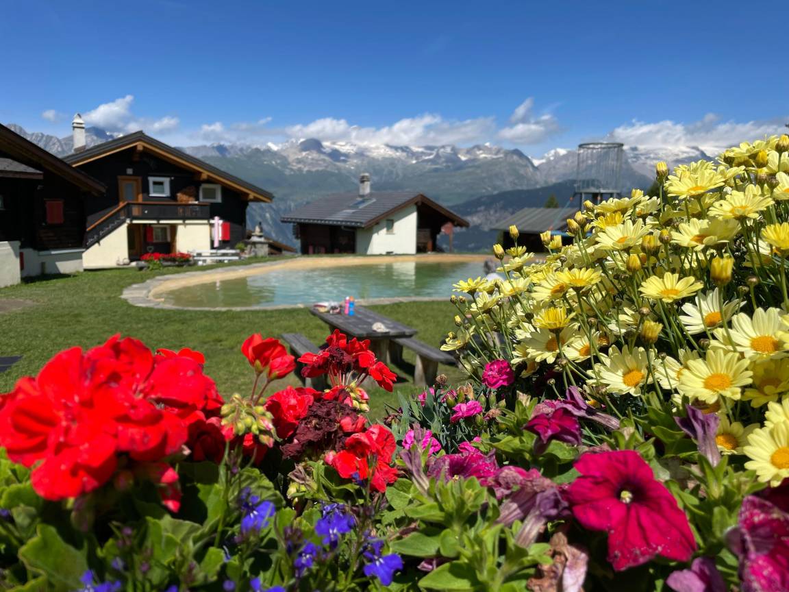 90 M² House ∙ 3 Bedrooms ∙ 6 Guests - Riederalp