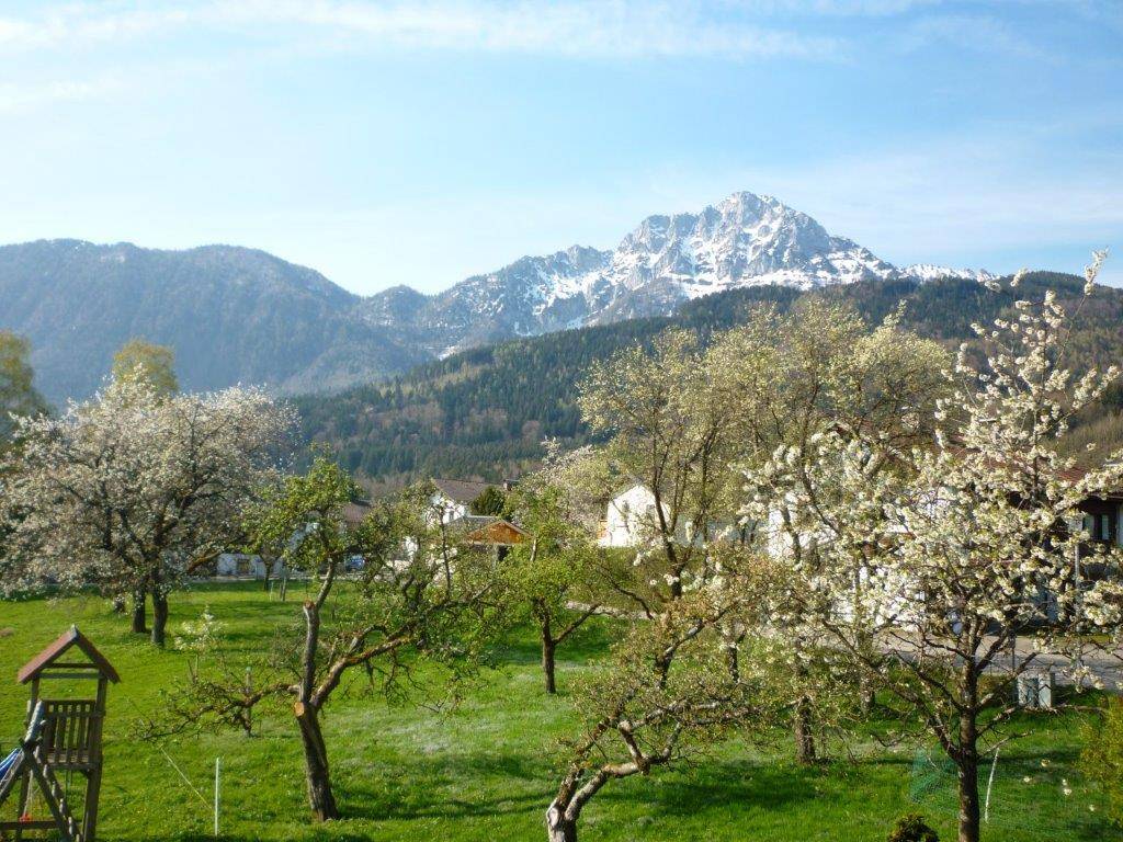 Pension ∙ 3 Guests - Salzburg